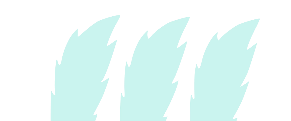 Pay Better with Mintpay | Pay Now for Unlimited Cashback, Pay Later to ...